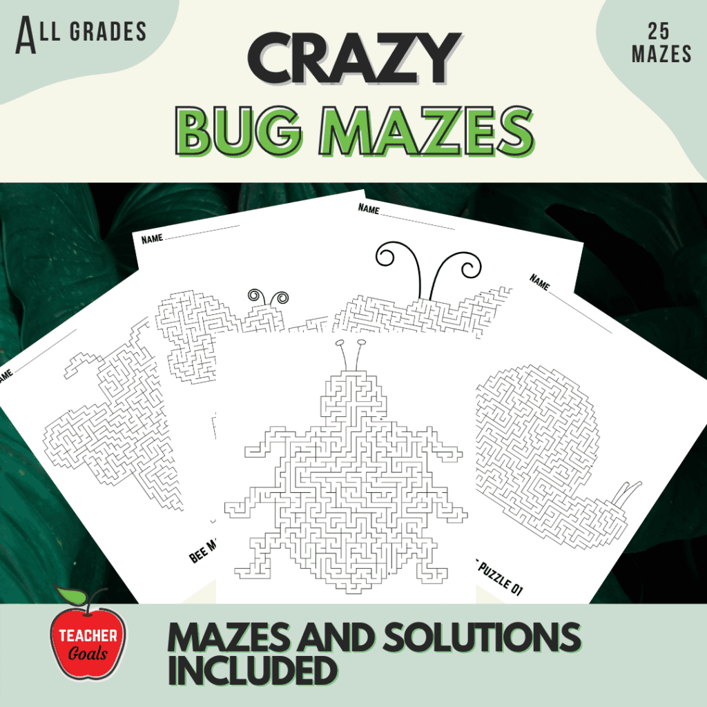 Ultimate Crazy Maze Bundle | Kid’s Activity