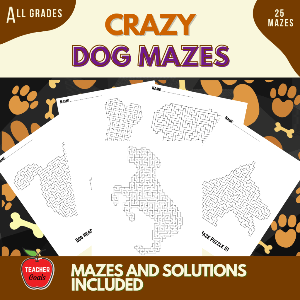 Ultimate Crazy Maze Bundle | Kid’s Activity