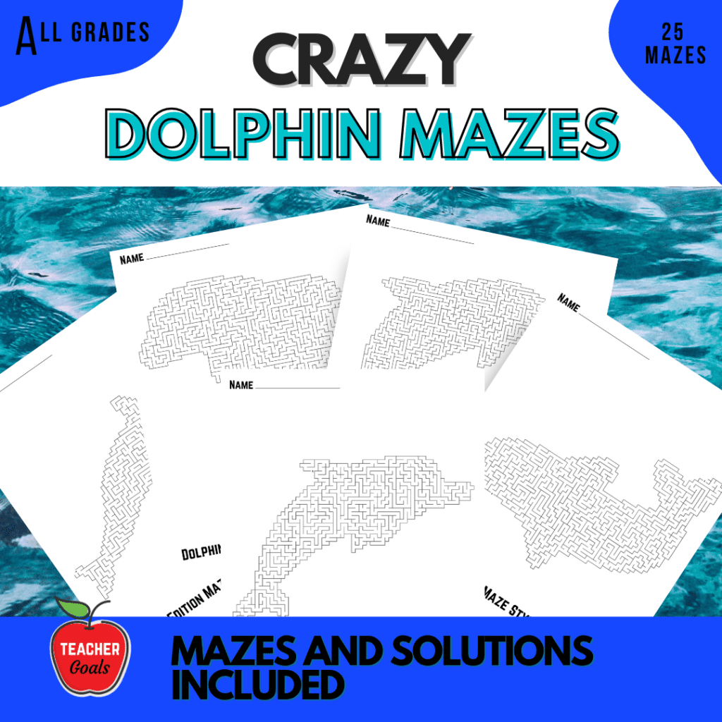 Ultimate Crazy Maze Bundle | Kid’s Activity