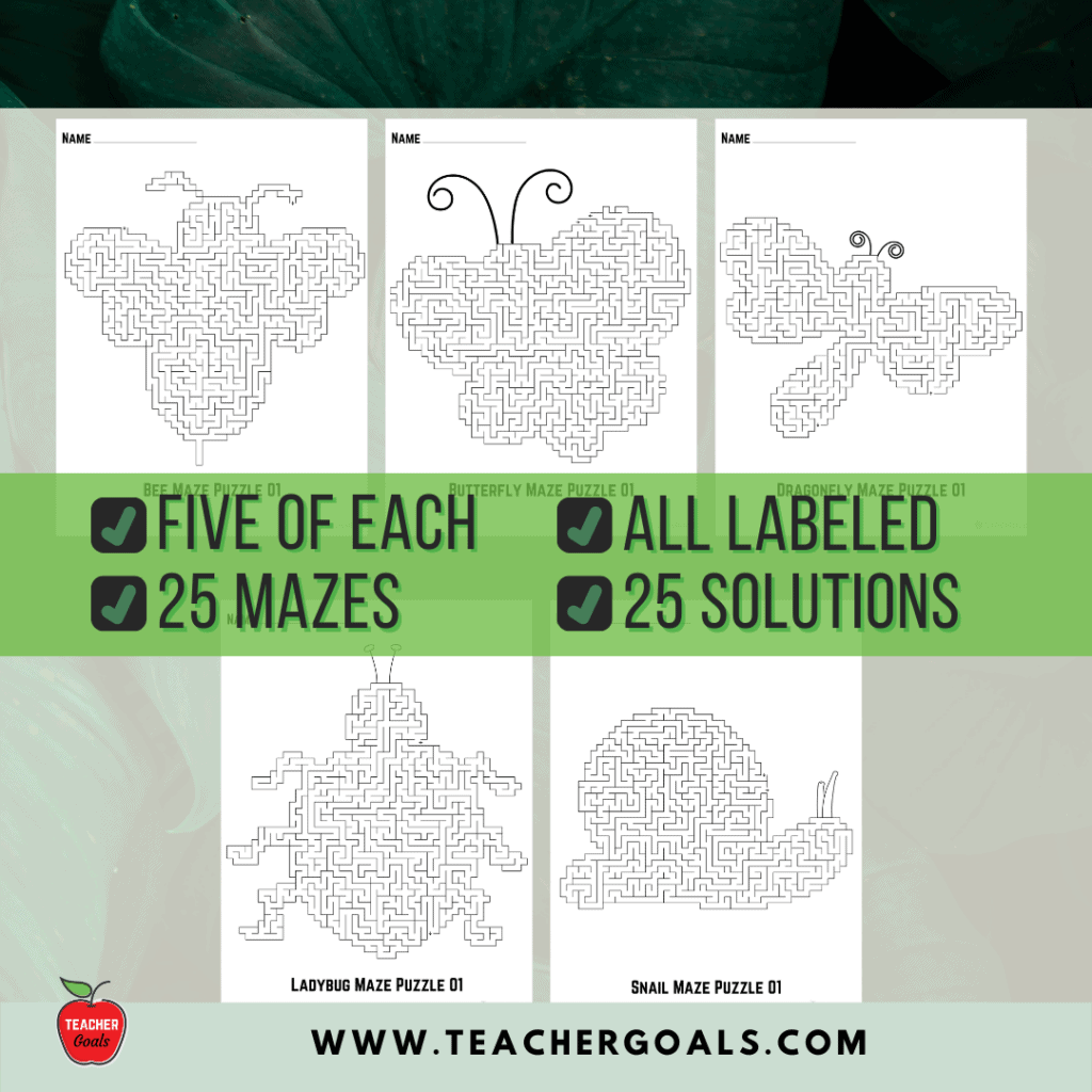 Crazy Bug Mazes for All Ages | TeacherGoals